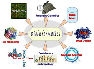 Bologna Biocomputing Group - News & Announcement